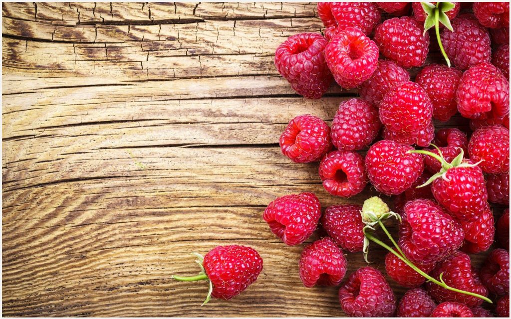 Como cultivar framboesa em hidroponia | Hidroponia Portugal - Loja Oficial